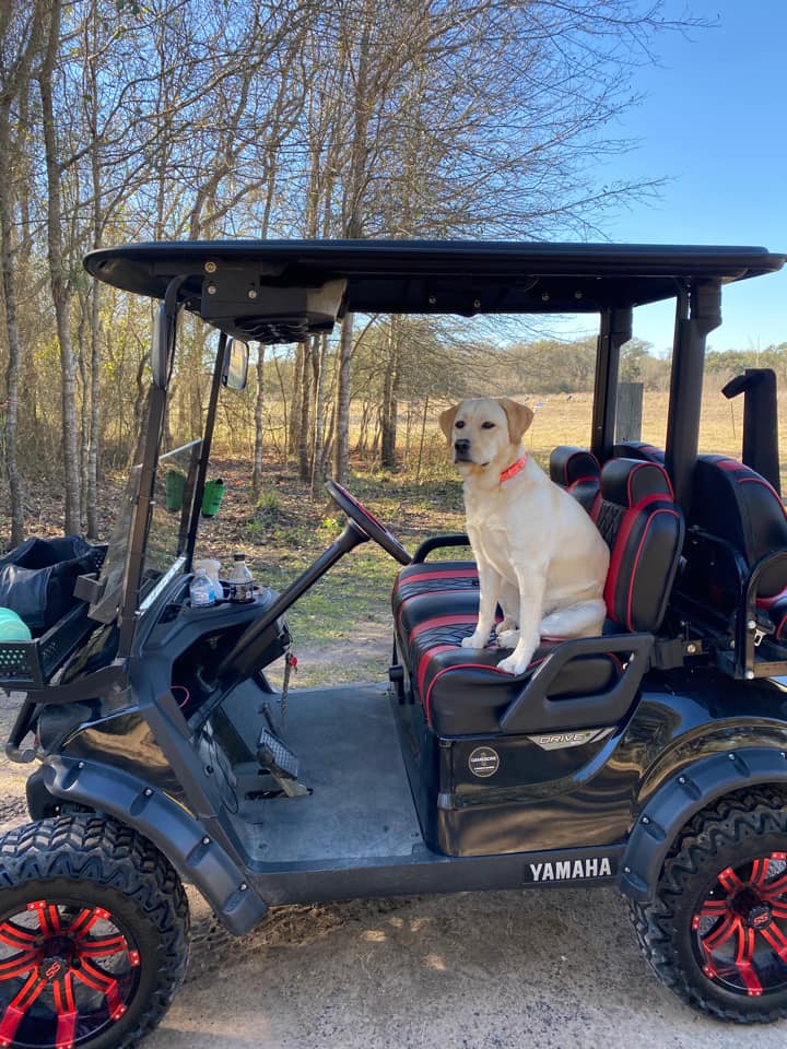 Golf Cars of Beaumont - TexasCarDealers.net